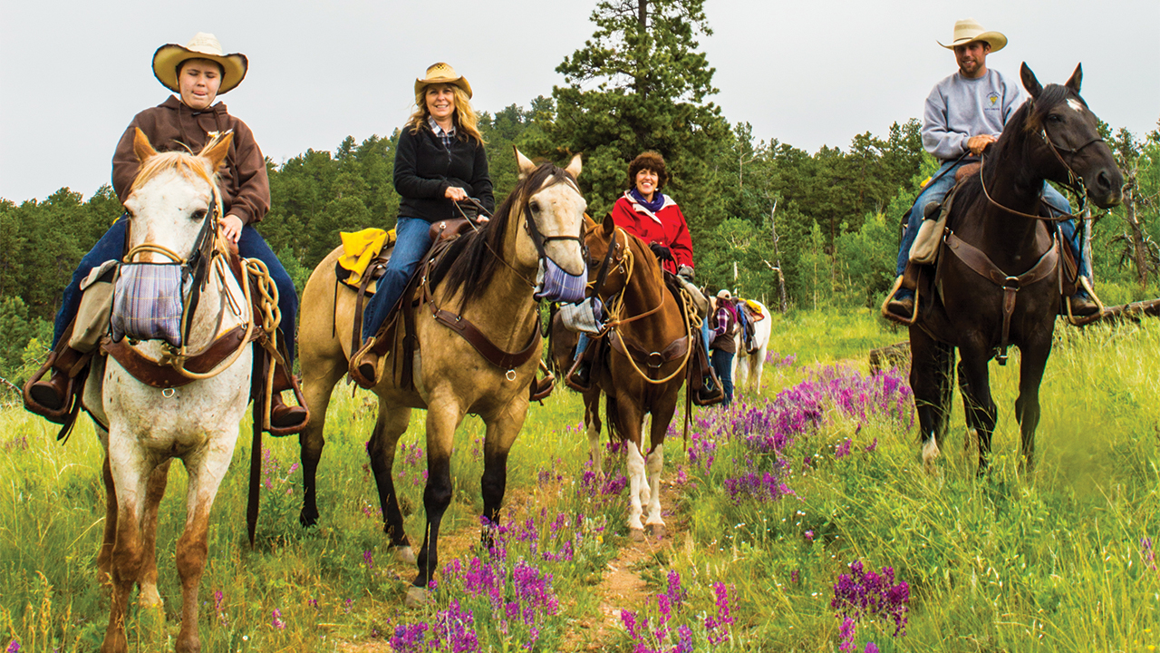 5 Colorado Guest Ranches Perfect for Families | Colorado Parent