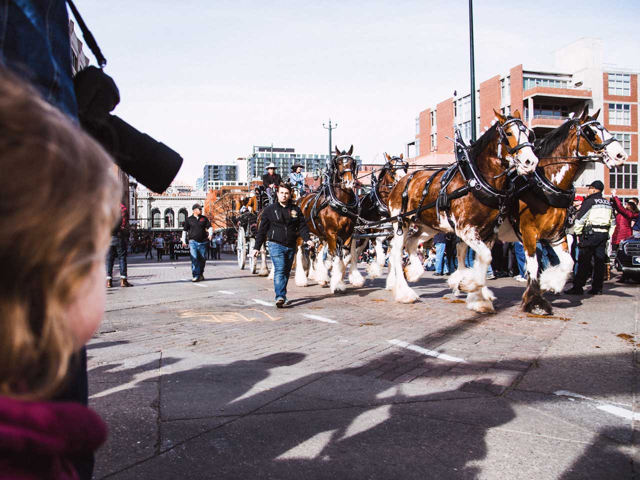 A Family Guide to Denver's National Western Stock Show 2020