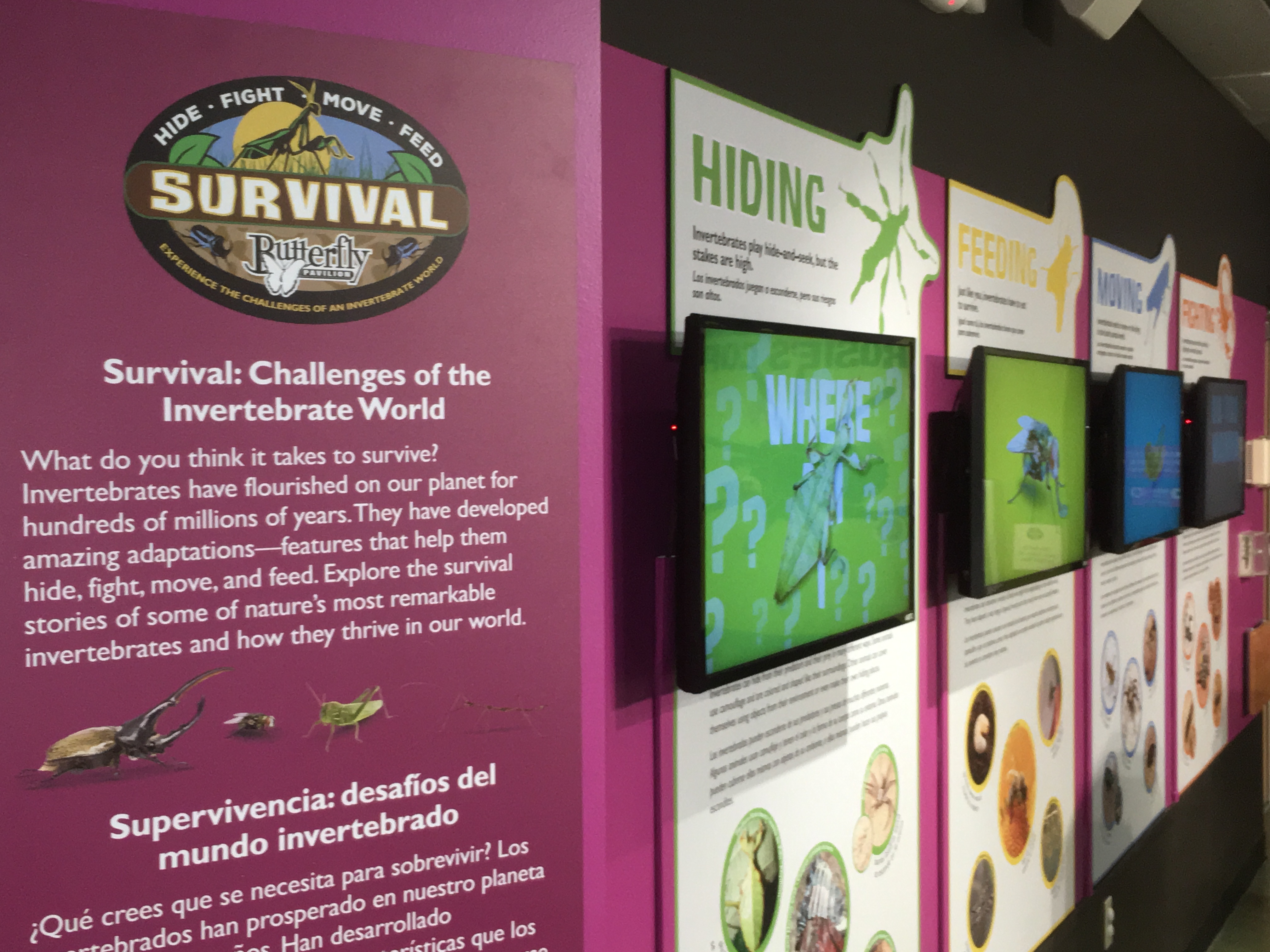 Survival Exhibit Combines Education and Fun for All Ages - Colorado Parent