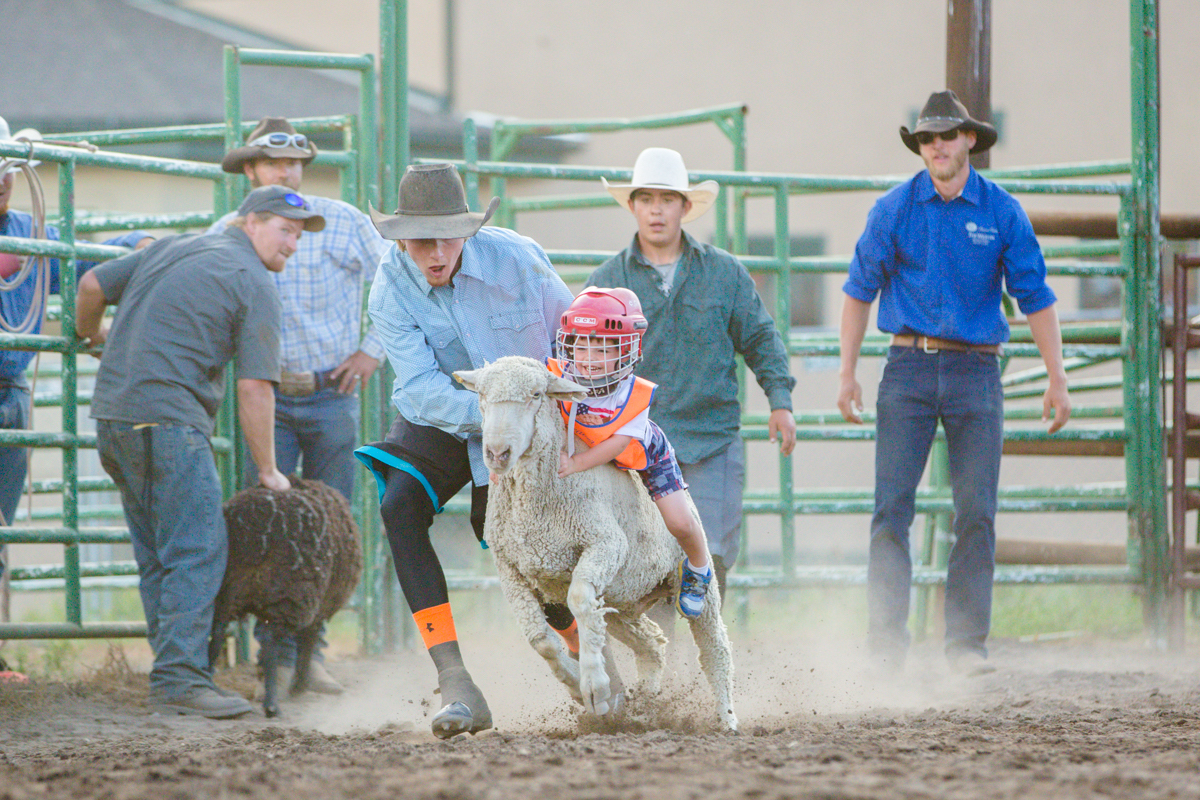8 Family-Friendly Summer Rodeos | Colorado Parent