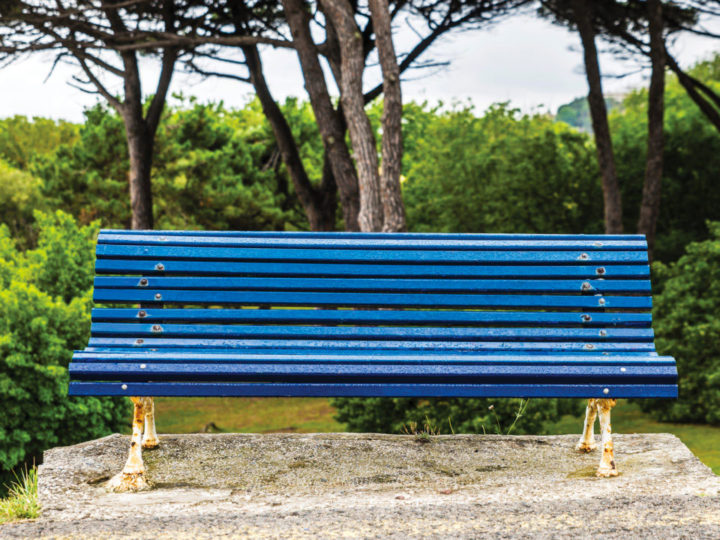 The Blue Bench is Helping Prevent Sexual Assault Among Youth
