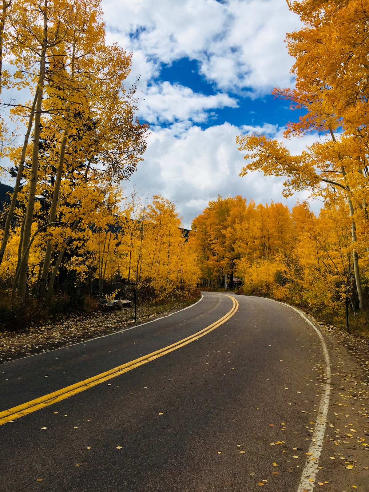 5 Ways to Celebrate Fall in Colorado
