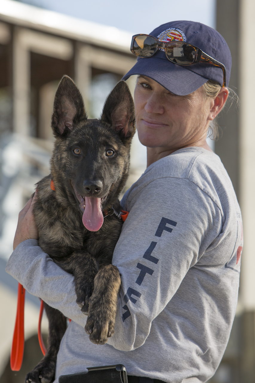 Movie Review: Superpower Dogs - Colorado Parent