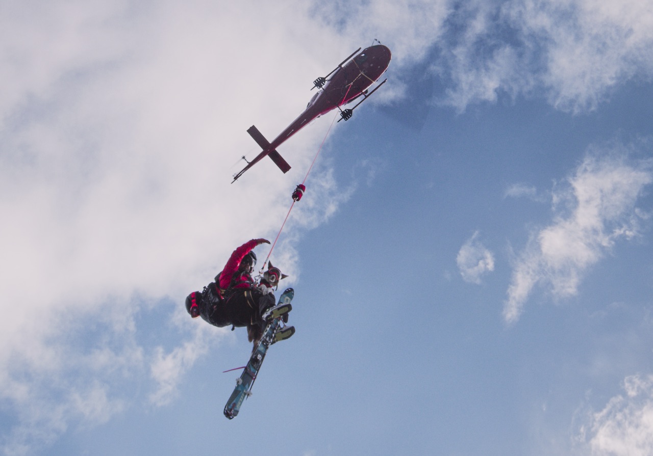 Movie Review: Superpower Dogs - Colorado Parent