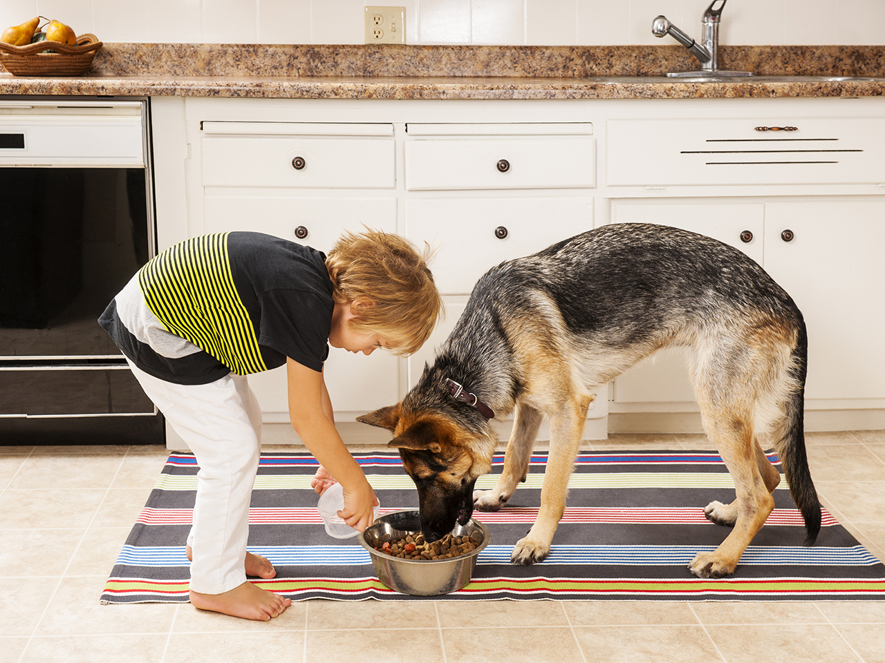 Fur, Feathers, Scales, and Tails