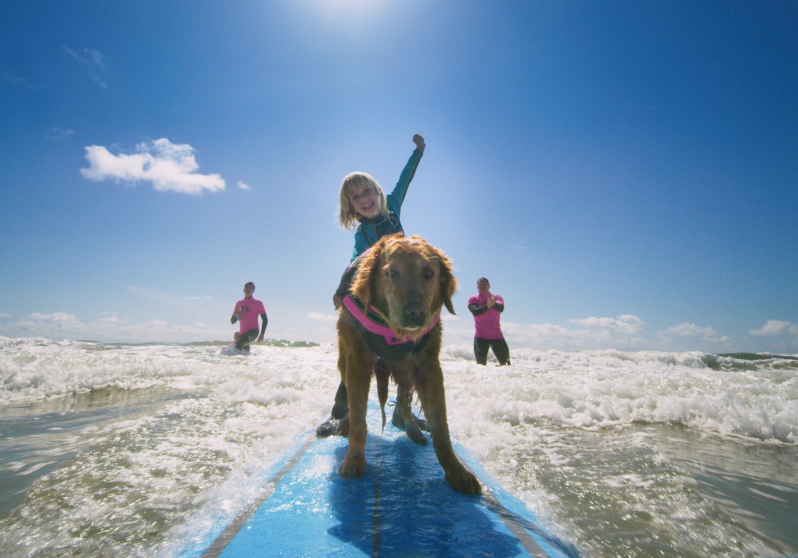 Movie Review: Superpower Dogs - Colorado Parent