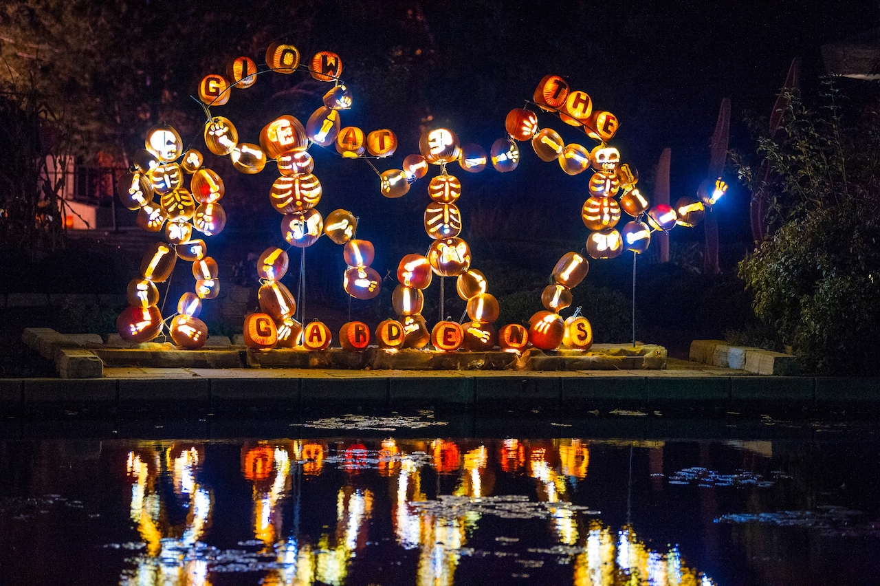 20 Ways to Celebrate Halloween in Metro Denver - Colorado Parent