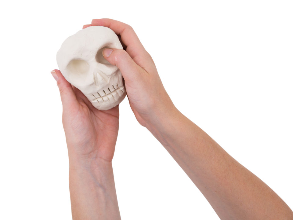 DIY Mexican Clay Skull Colorado Parent