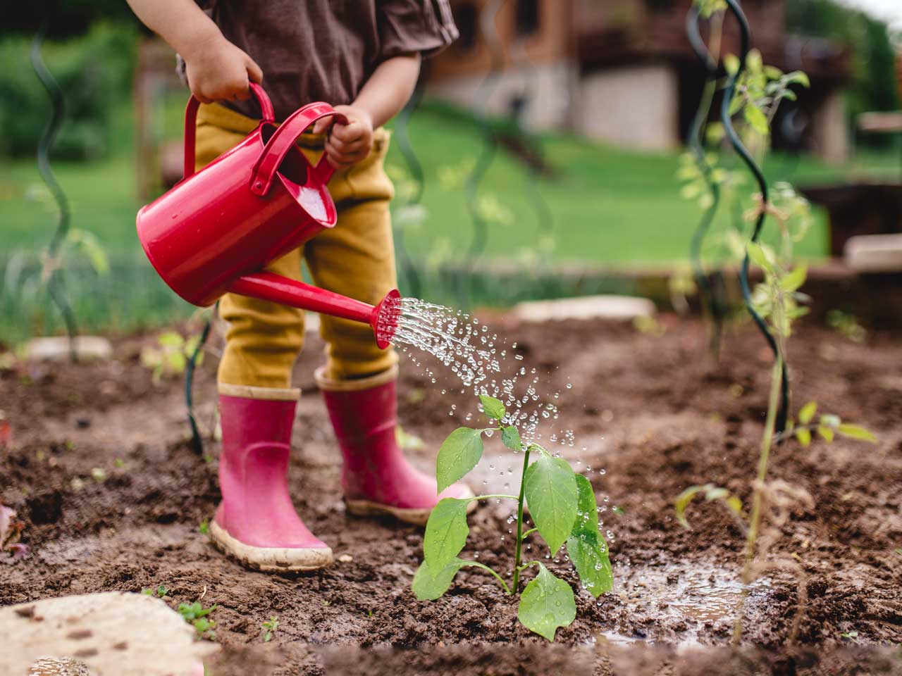 Gardening With Kids: Plant a Starter Garden - Colorado Parent