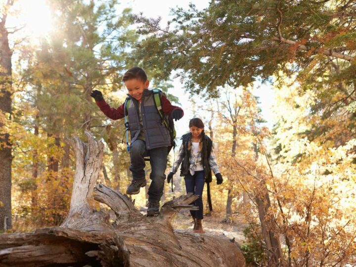 15 Things to do Over Fall Break - Colorado Parent