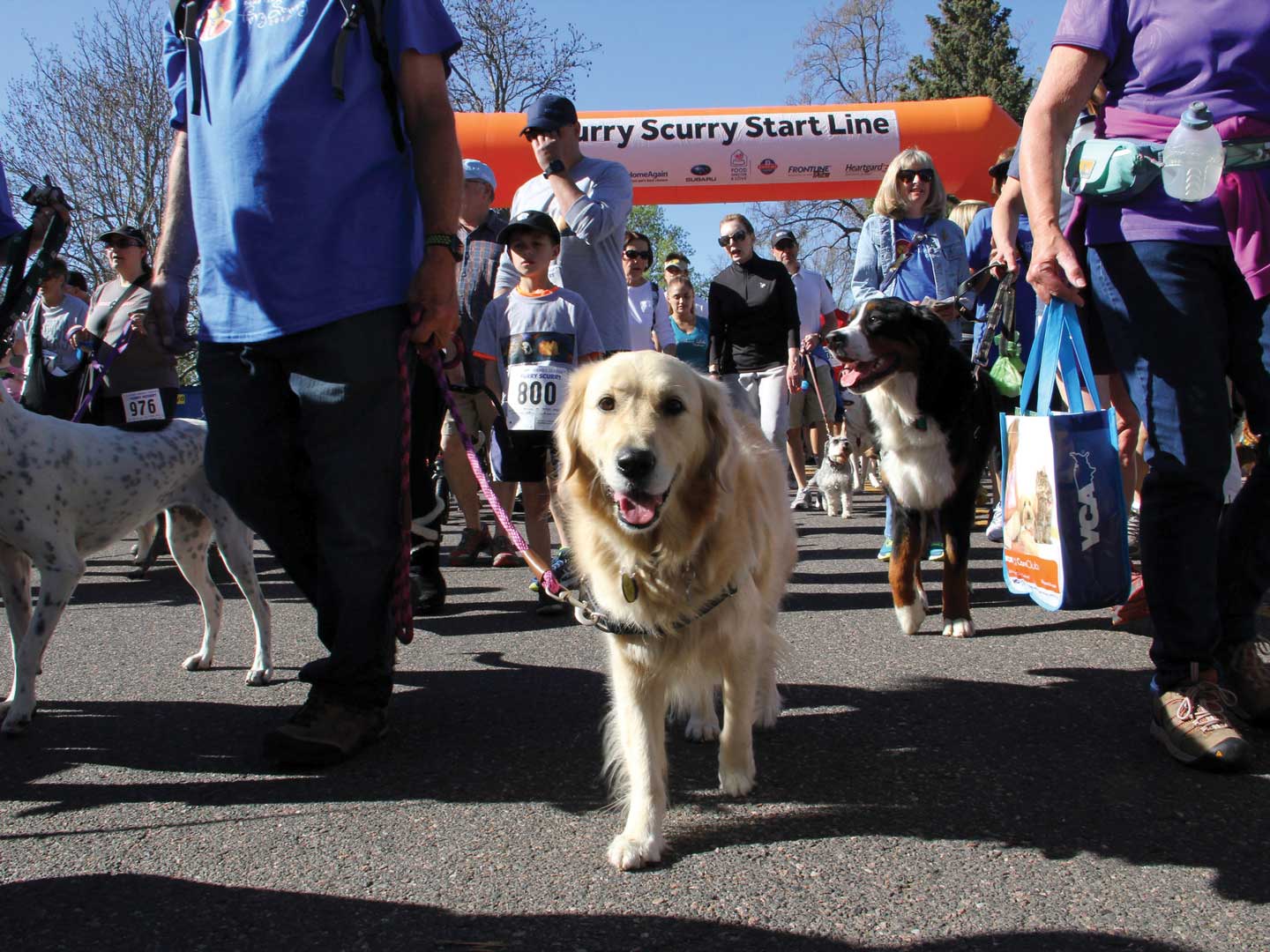 Tips for Family Running: How To Make Running a Family Affair
