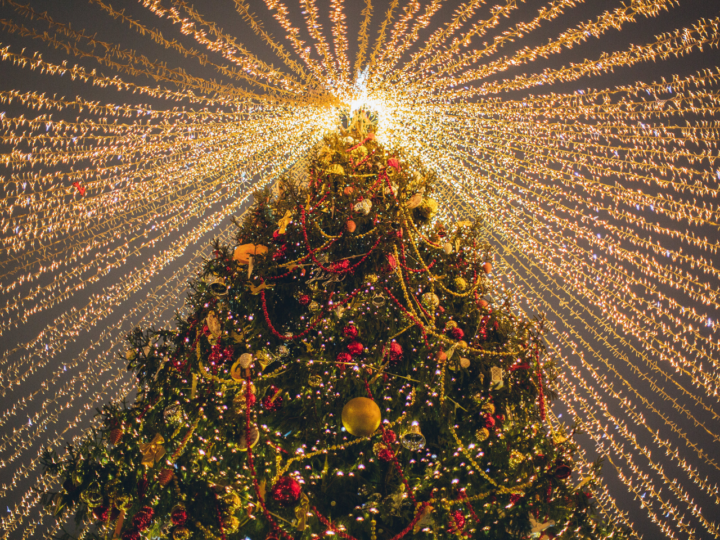 Annual Tree Lighting Celebration Kicks Off the Holiday Season ...