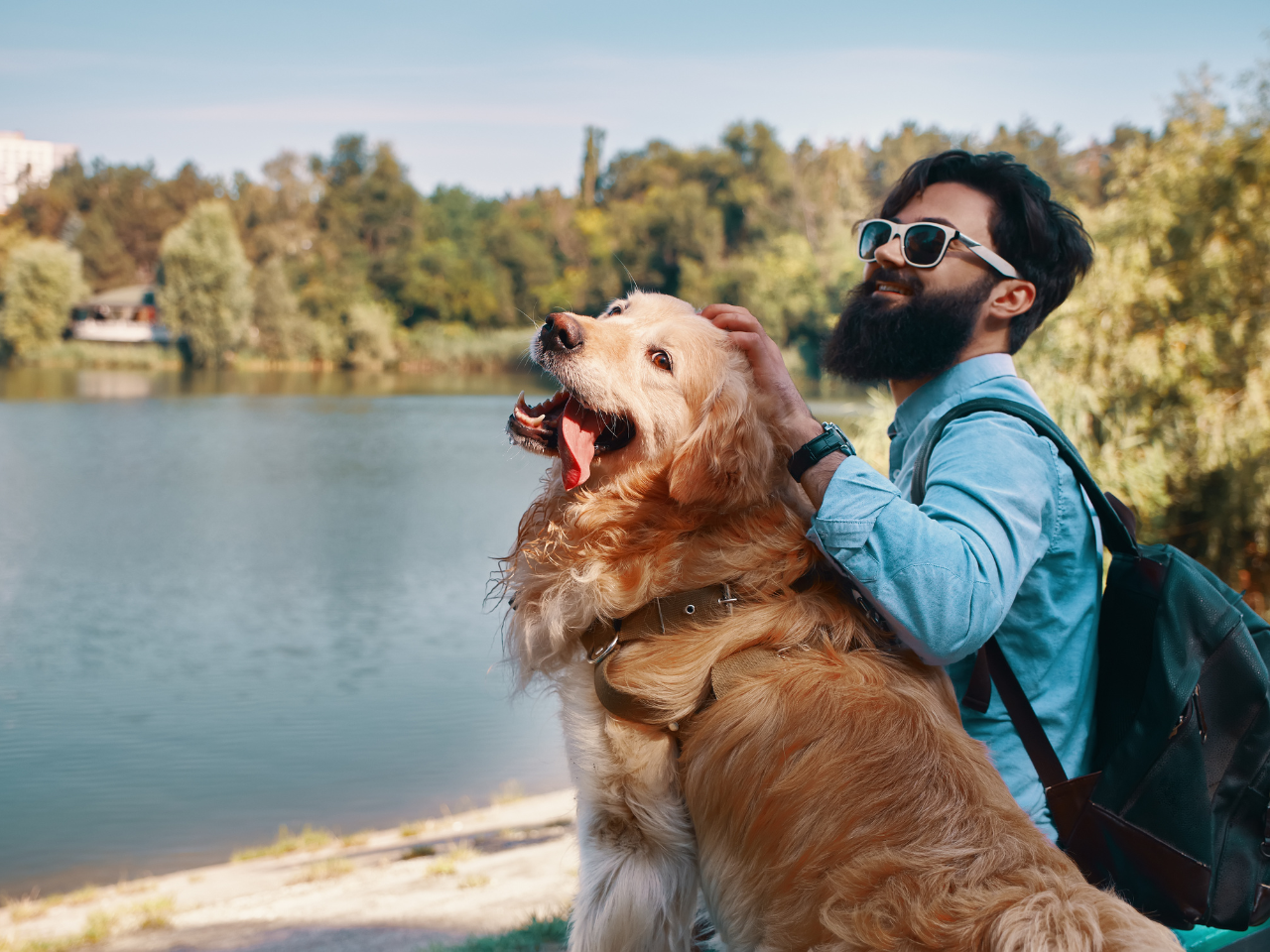 The Heartfelt Connection Between Pet Owners and Their Furry Friends ...